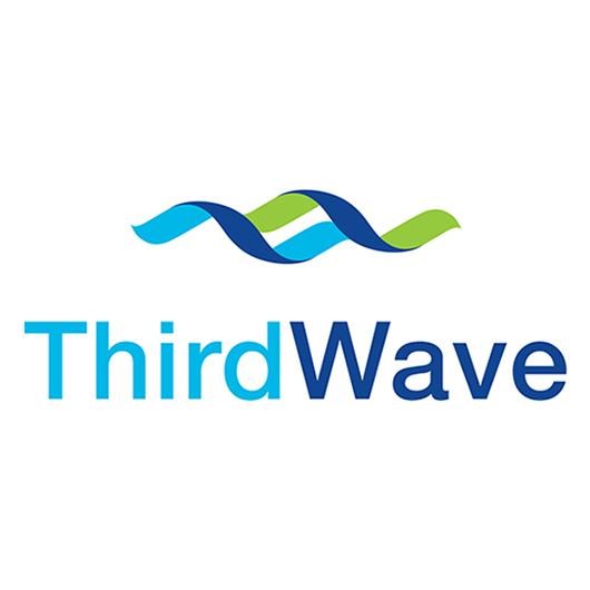 THIRD WAVE SYSTEMS